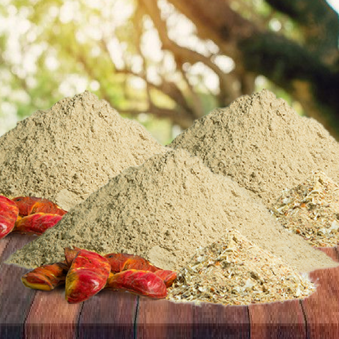 Exportadora El Sol | Tara en Polvo